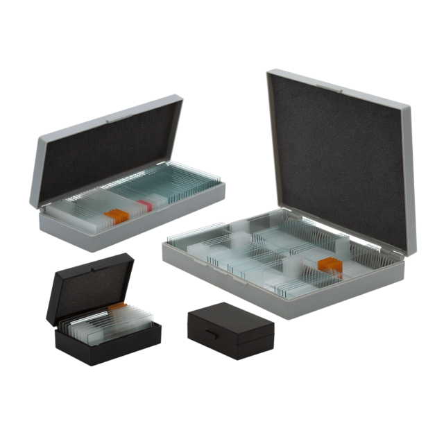 Slide Staining Set - Medpip
